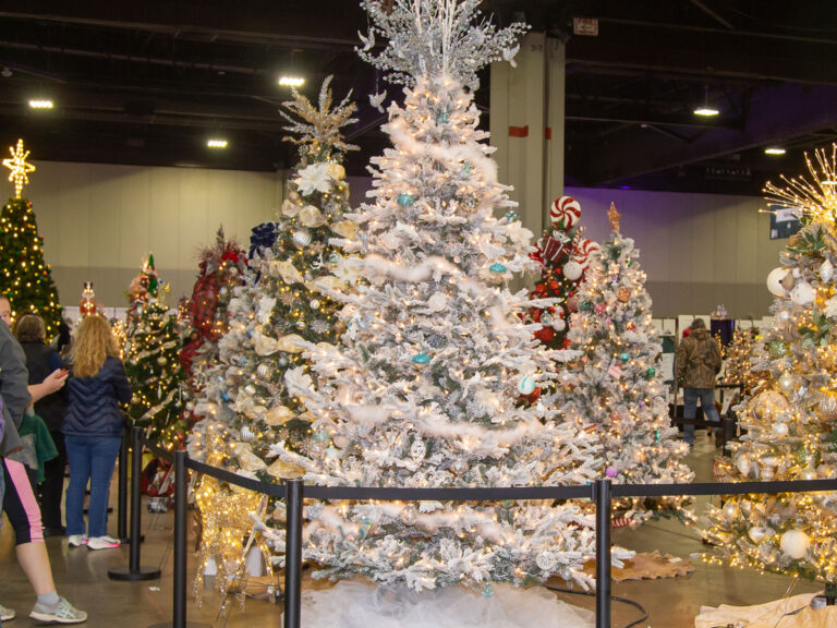 GIVE NOW - GA Festival of Trees
